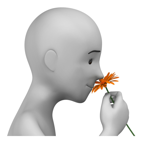 Oler Nivel 1: Construcción de frases #Soyvisual