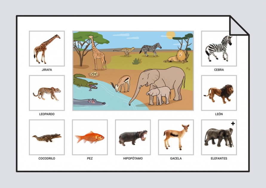 Los animales de la sabana: Vocabulario #Soyvisual