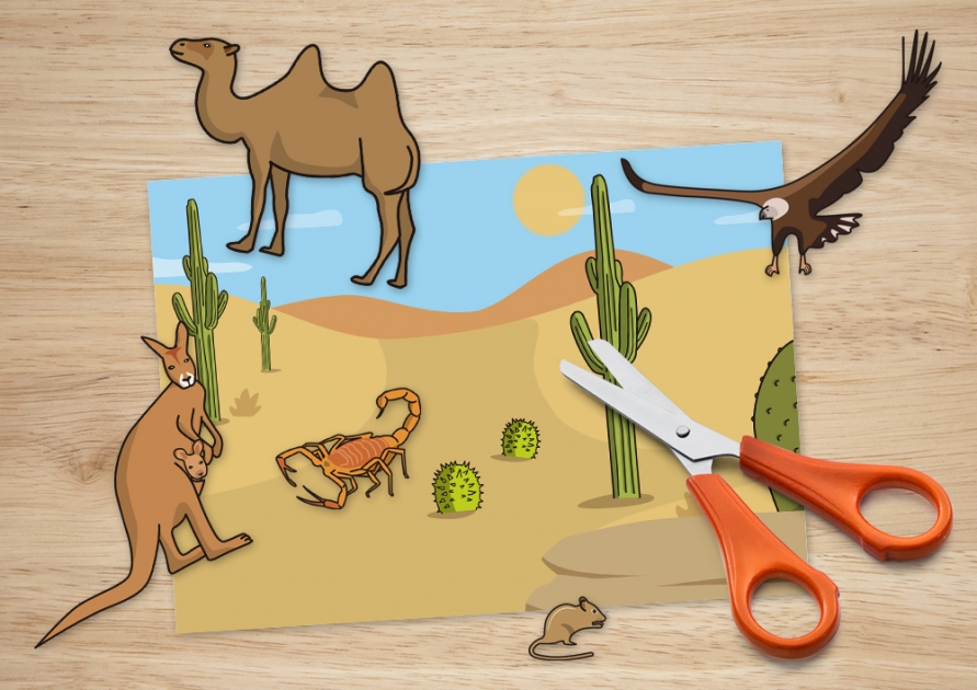 Biblioteca animales del desierto: Recursos gráficos #Soyvisual