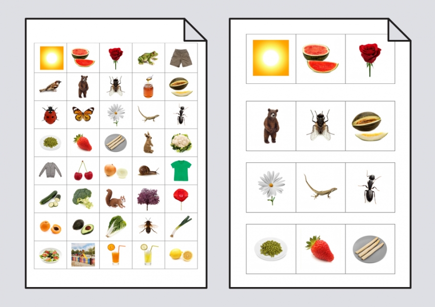 Busca la serie. La primavera: Discriminación visual #Soyvisual