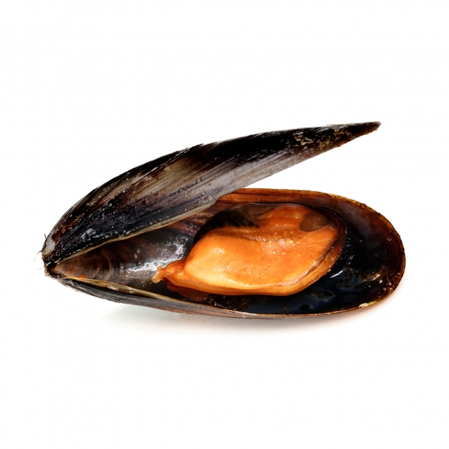 Mejillón #Soyvisual