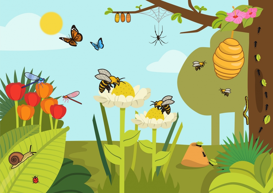 Los insectos #Soyvisual