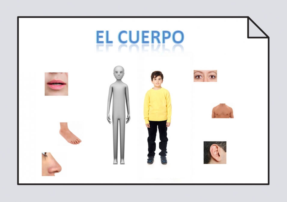 Libro de comunicación. Partes del cuerpo humano: Vocabulario #Soyvisual